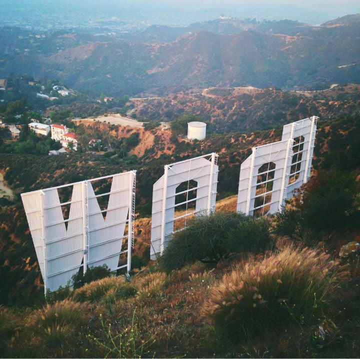 Staple x 13th Witness - Holly Tee, Black – The Giant Peach